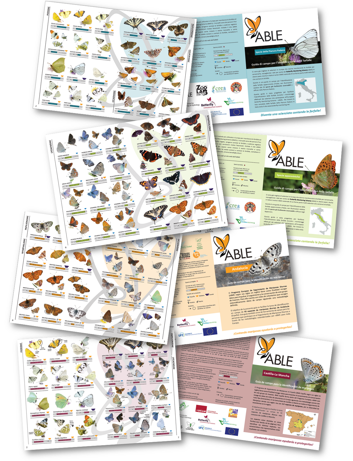 Butterflies of Europe - ACTION Project